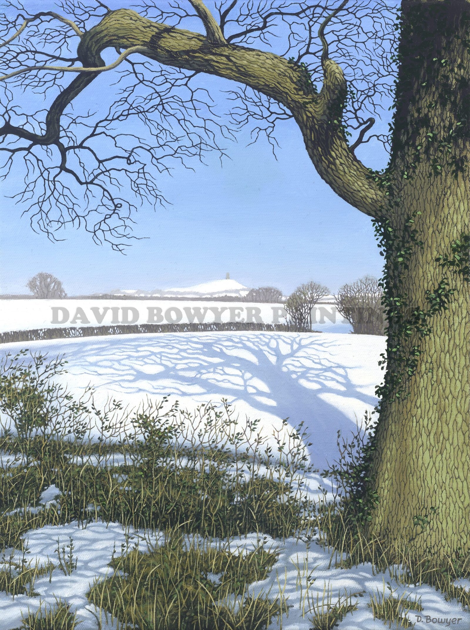 Magical Tree Shadow – David Bowyer Paintings